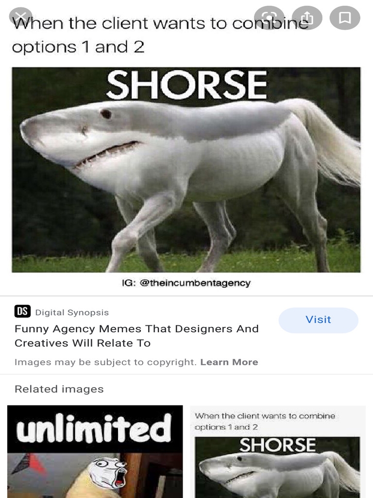 Funny Memes - Google Search | PDF