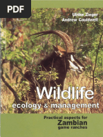 TheHunter Call of The Wild Spreadsheet | PDF | White Tailed Deer | Deer