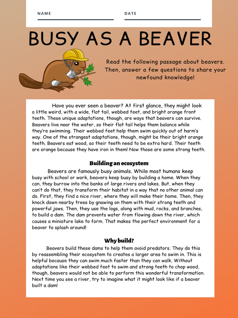 5th Grade Beaver Reading Comprehension Worksheet | PDF | Beaver | River