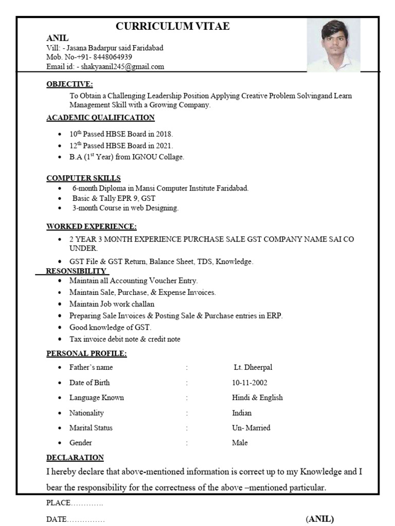Anil's Professional CV and Skills Summary | PDF
