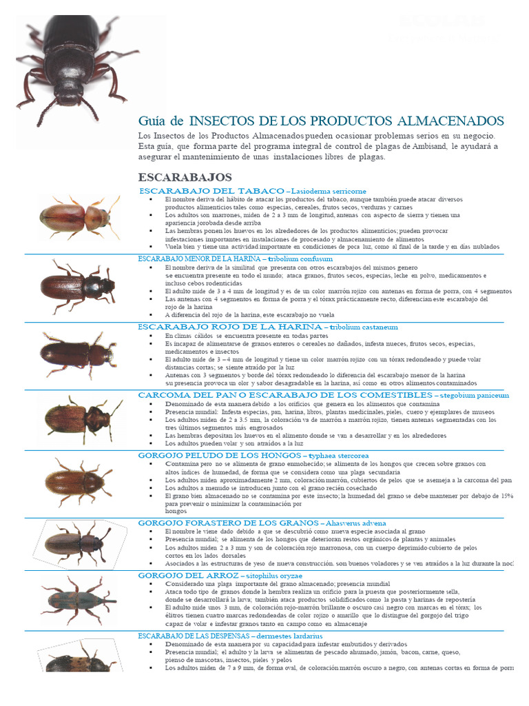 Guia Insectos Productos Almacenados | PDF | Insectos | Alimentos