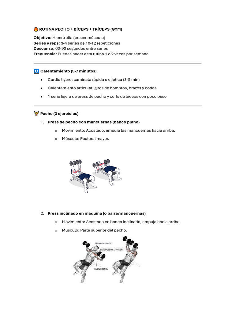 ? RUTINA PECHO, Triceps, Biceps | PDF