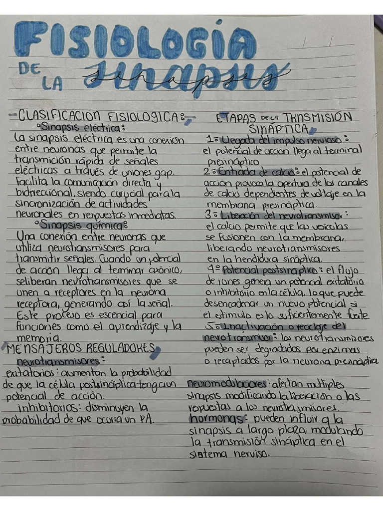 Fisiología De La Sinapsis Pdf