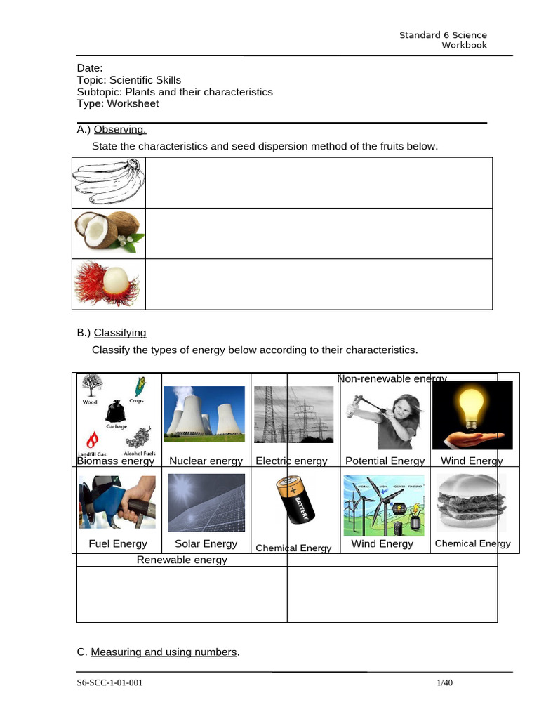 SCC STD 6 (Unit 1-6) Final | PDF | Experiment | Plants