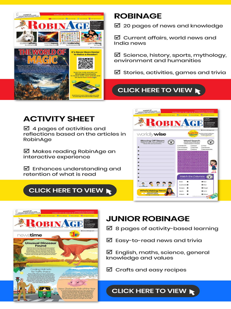 Sample Copy RobinAge Activity Sheet JR RobinAge | PDF