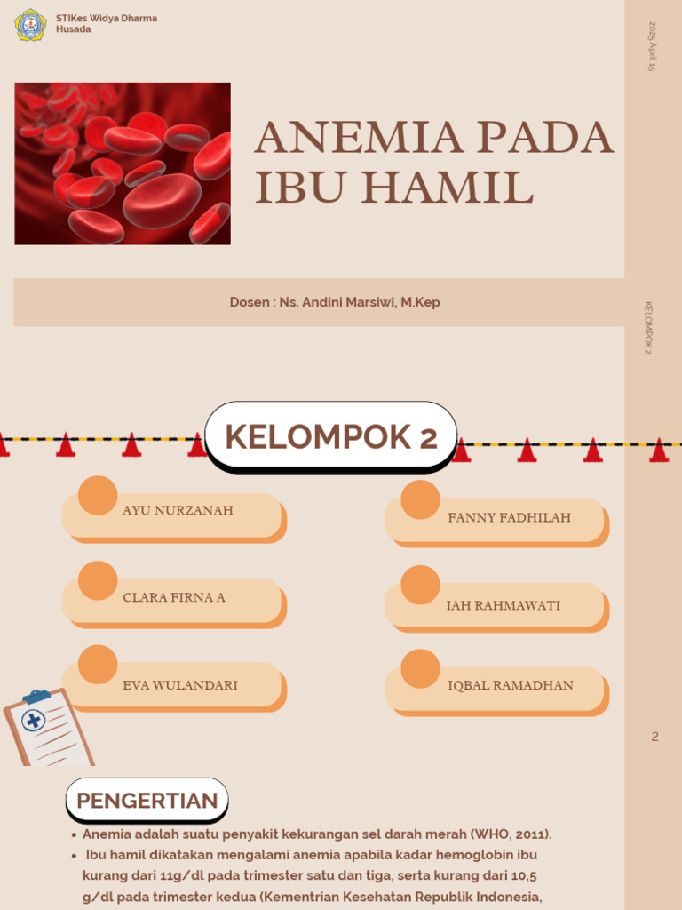 Anemia Pada Ibu Hamil Kel 2 | PDF