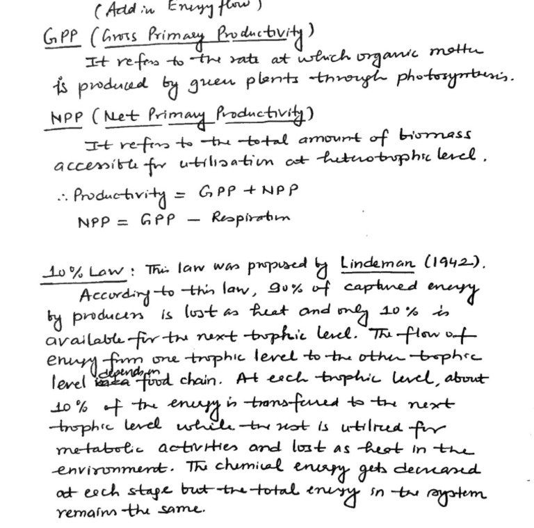 GPP, NPP and 10 - Law | PDF