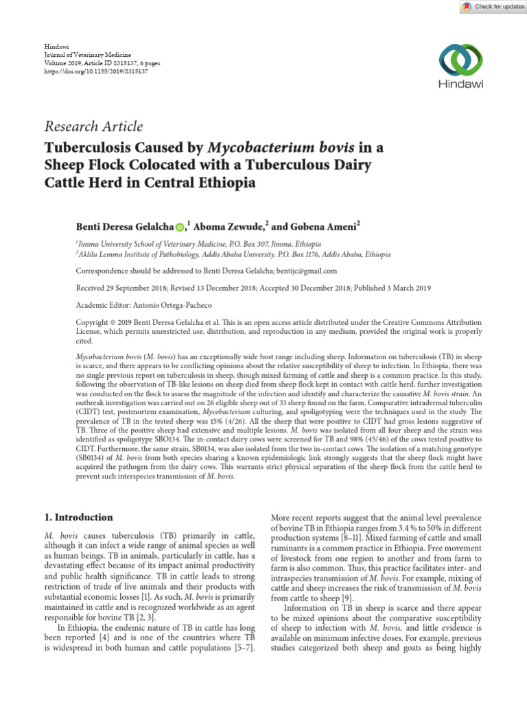 M. bovis Tuberculosis in Ethiopian Sheep | PDF | Tuberculosis | Infection