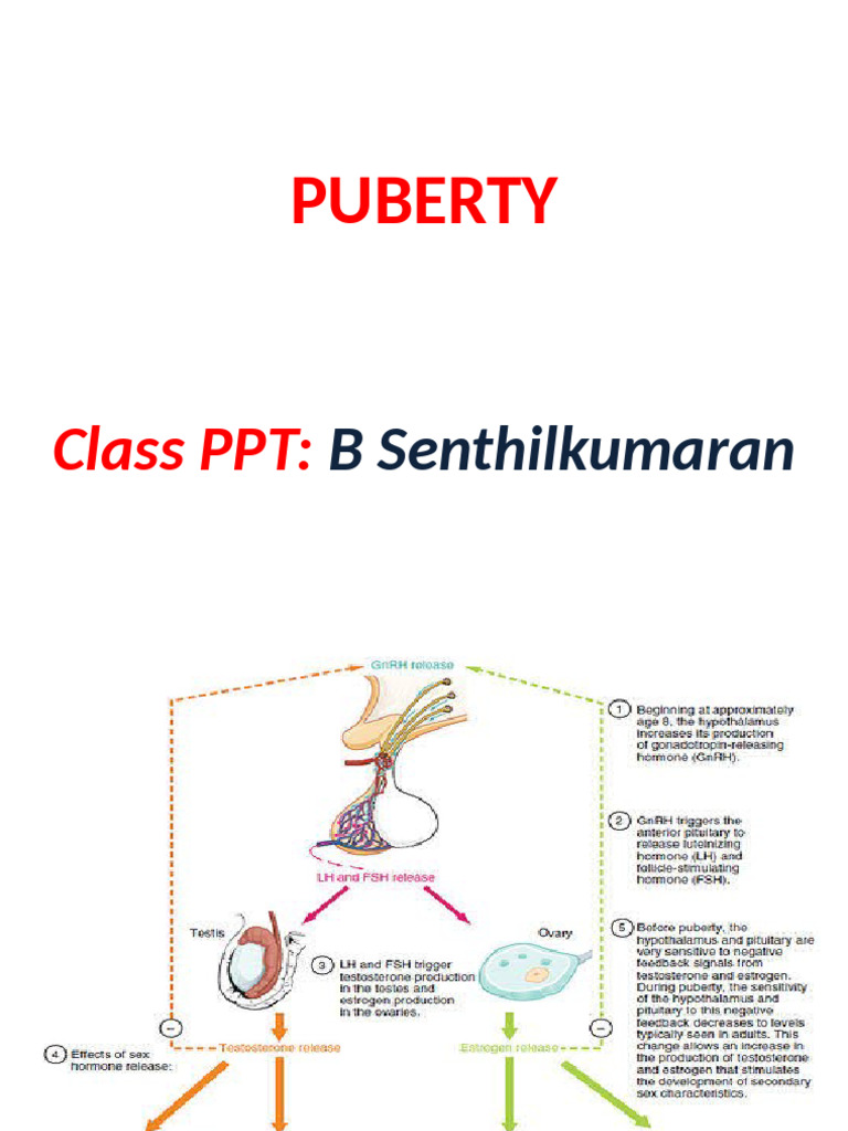 Puberty BS PPT 2022 | PDF