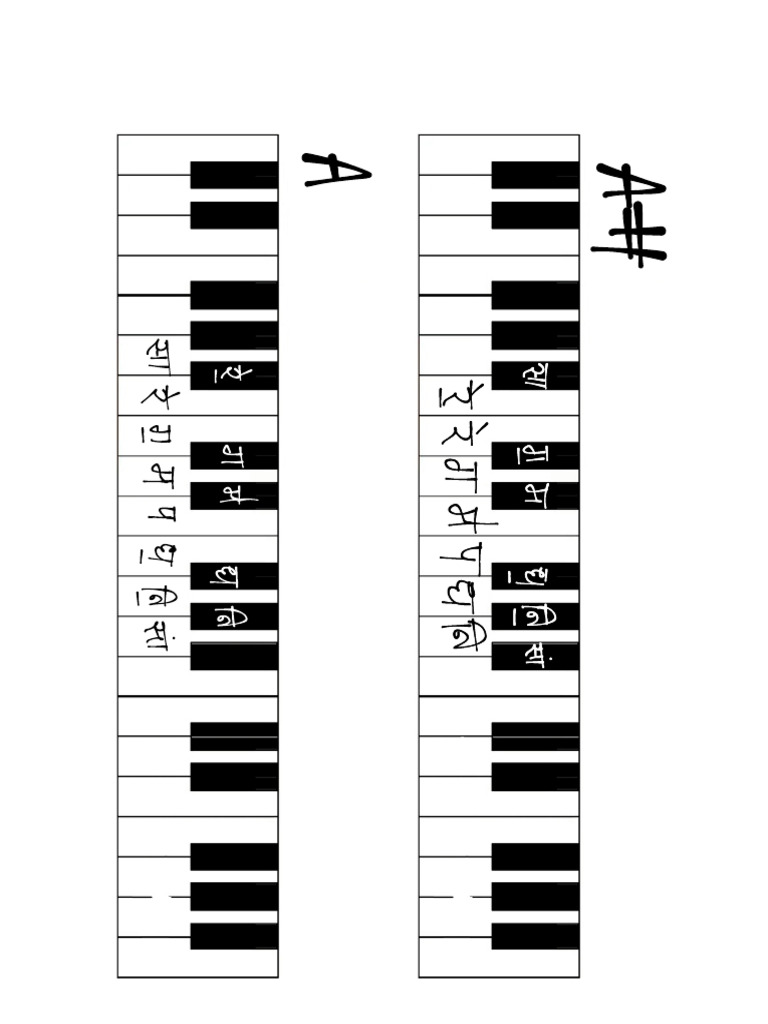 Harmonium Keys | PDF