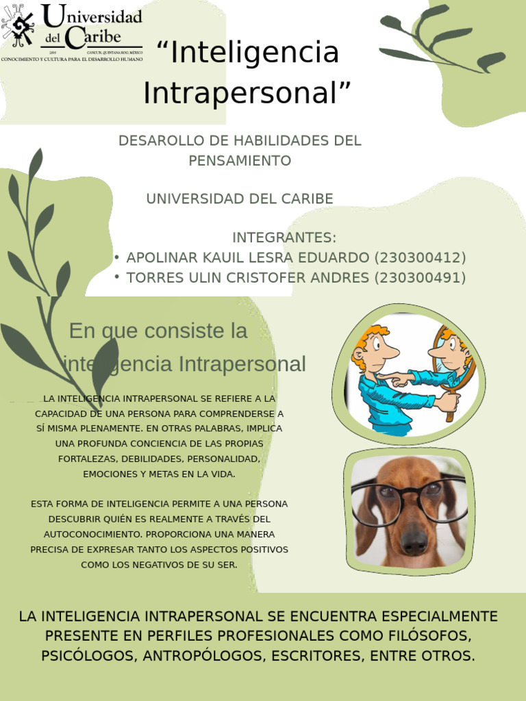 Inteligencia Intrapersonal | PDF