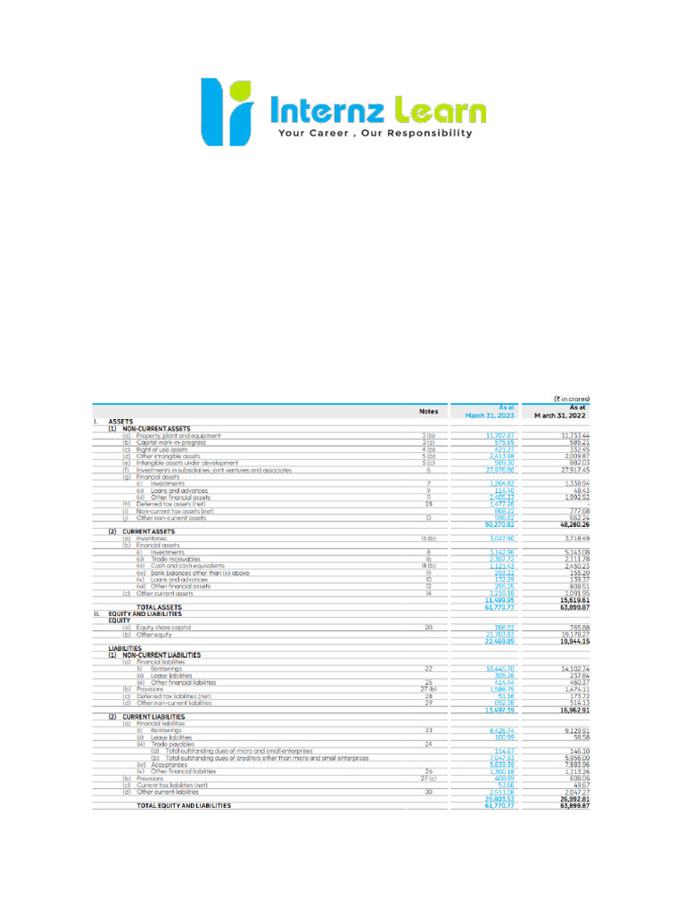Internz Major Finance Project | PDF
