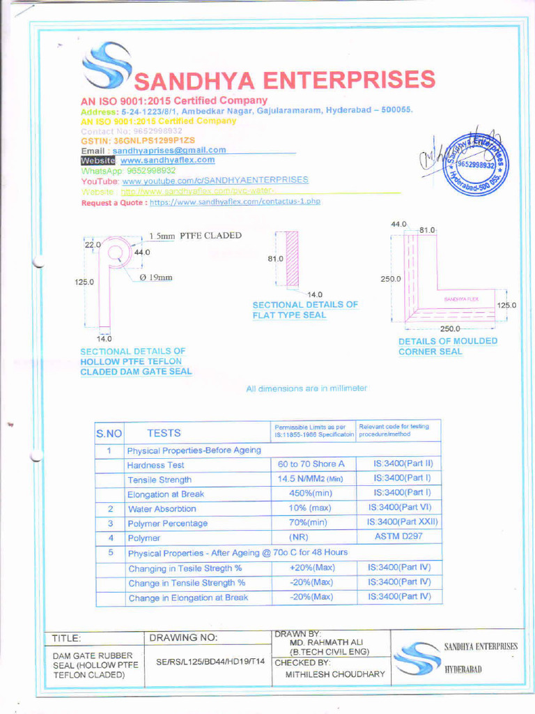 Hollow Ptfe Teflon Claded Dam Gate Seal | PDF