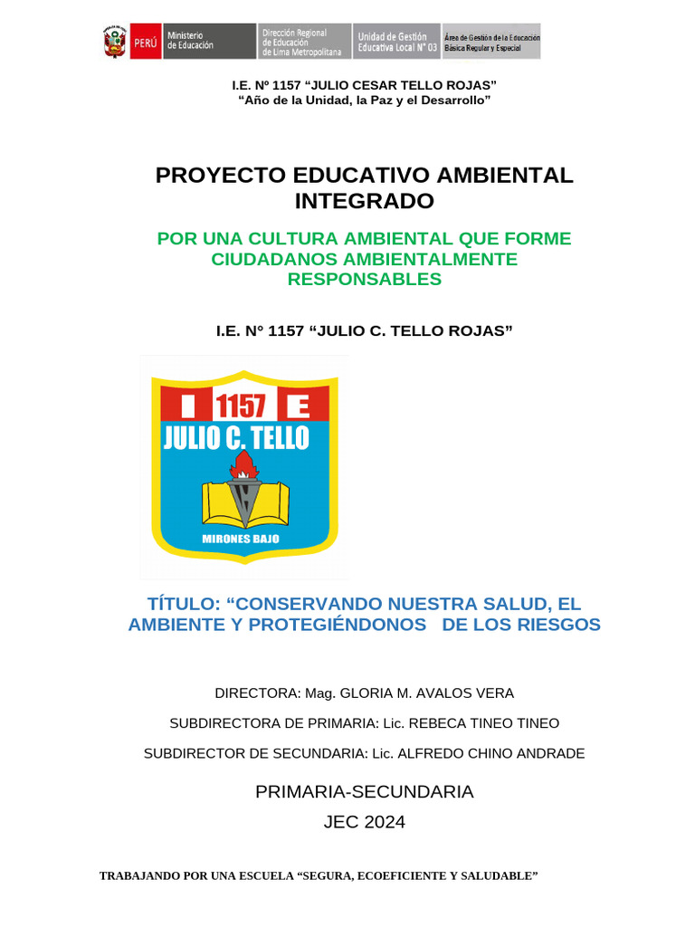 Peai 1157 2024 - Actualizado | PDF | Agua | Residuos