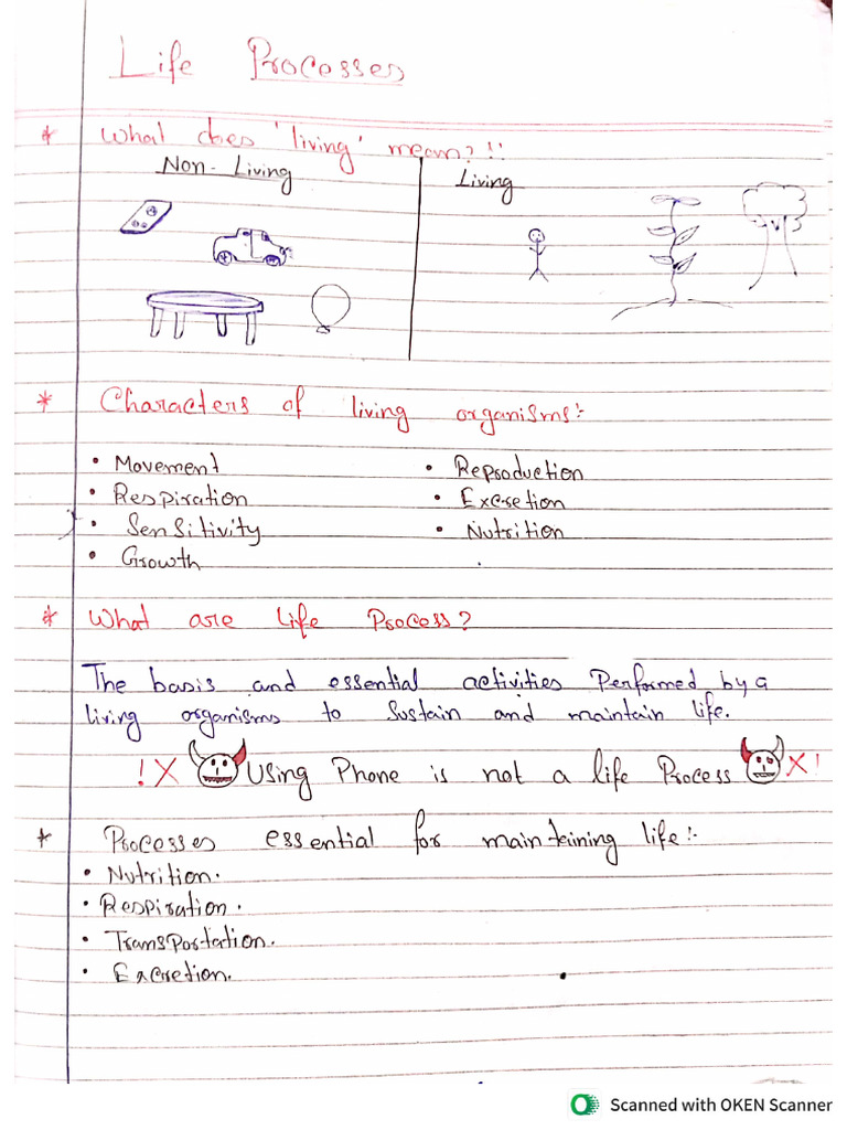 LIFE PROCESS (NUTRITION) CLASS 10 (Hand Written With Free and Diagram ...