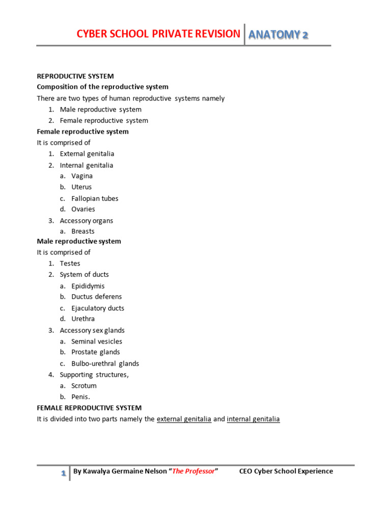 Chapter 6; Anatomy 2 (Reproductive System) | PDF | Uterus | Ovary