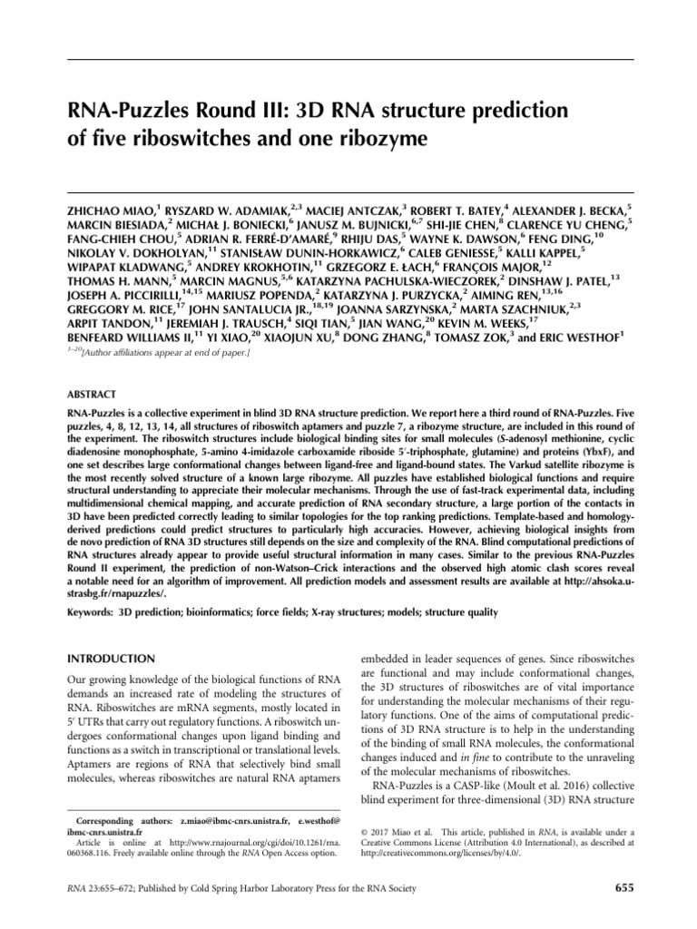 RNA-Puzzles Round III: 3D RNA Structure Prediction of Five Riboswitches and One Ribozyme | PDF ...