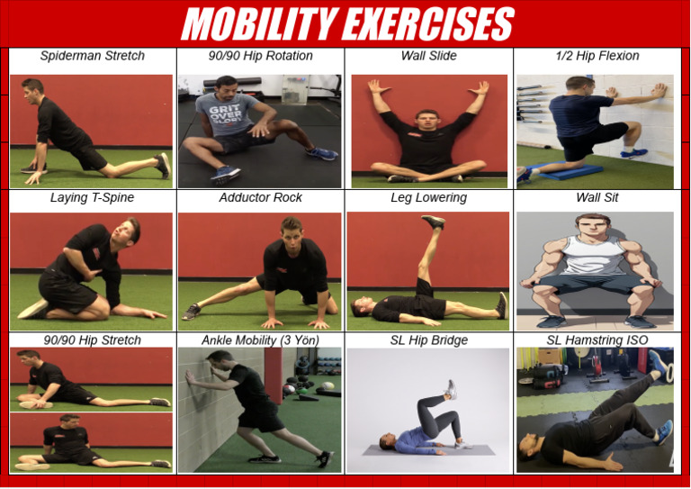 Essential Mobility Exercises Guide | PDF