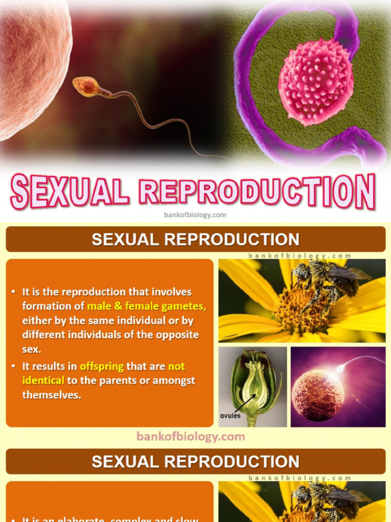 1 Reproduction in Organisms PPT Part 2 | PDF