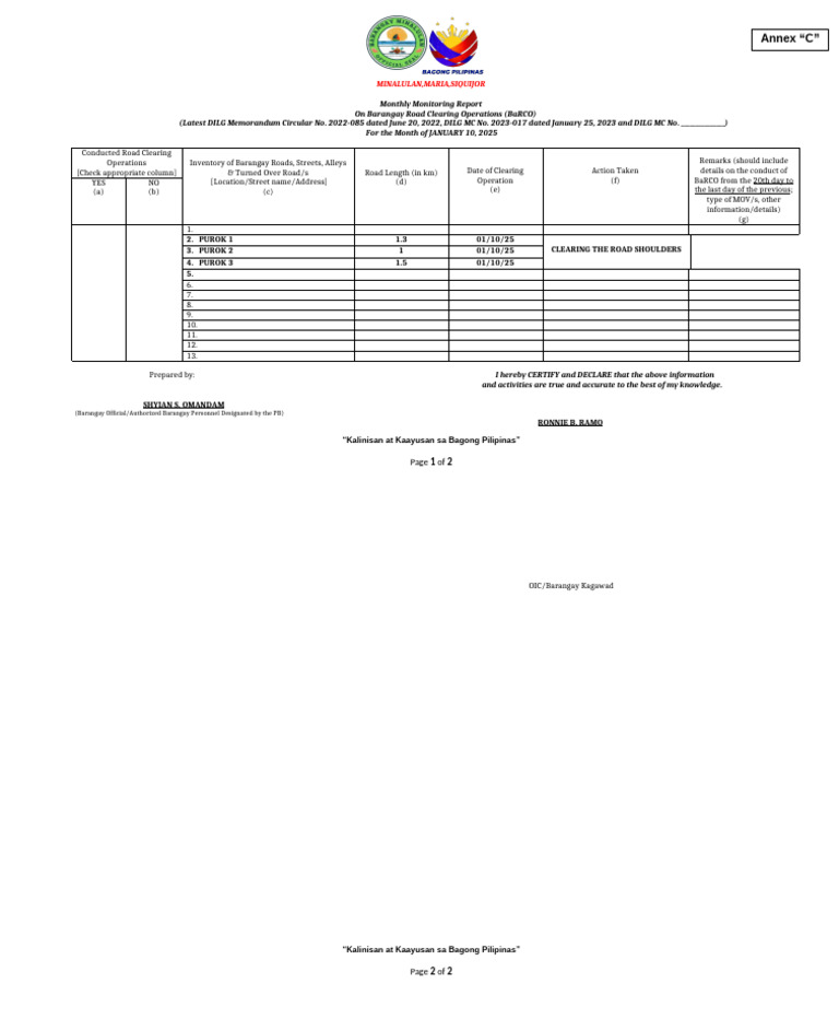 Annex C Barangay BaRCO Monthly Monitoring Report Template With PB S Certification | PDF