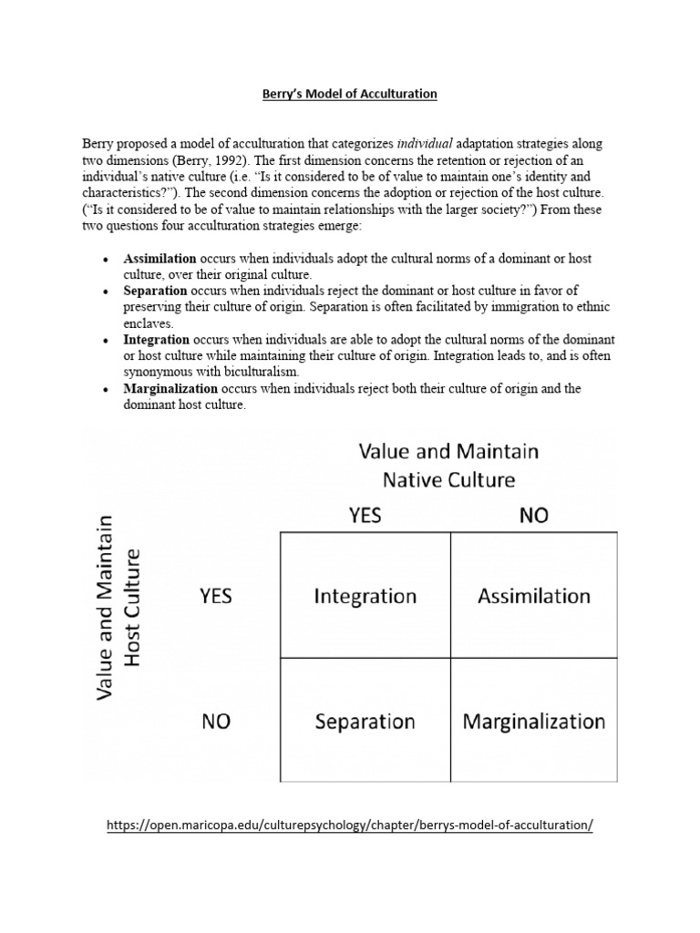 Berry Acculturation Model | PDF