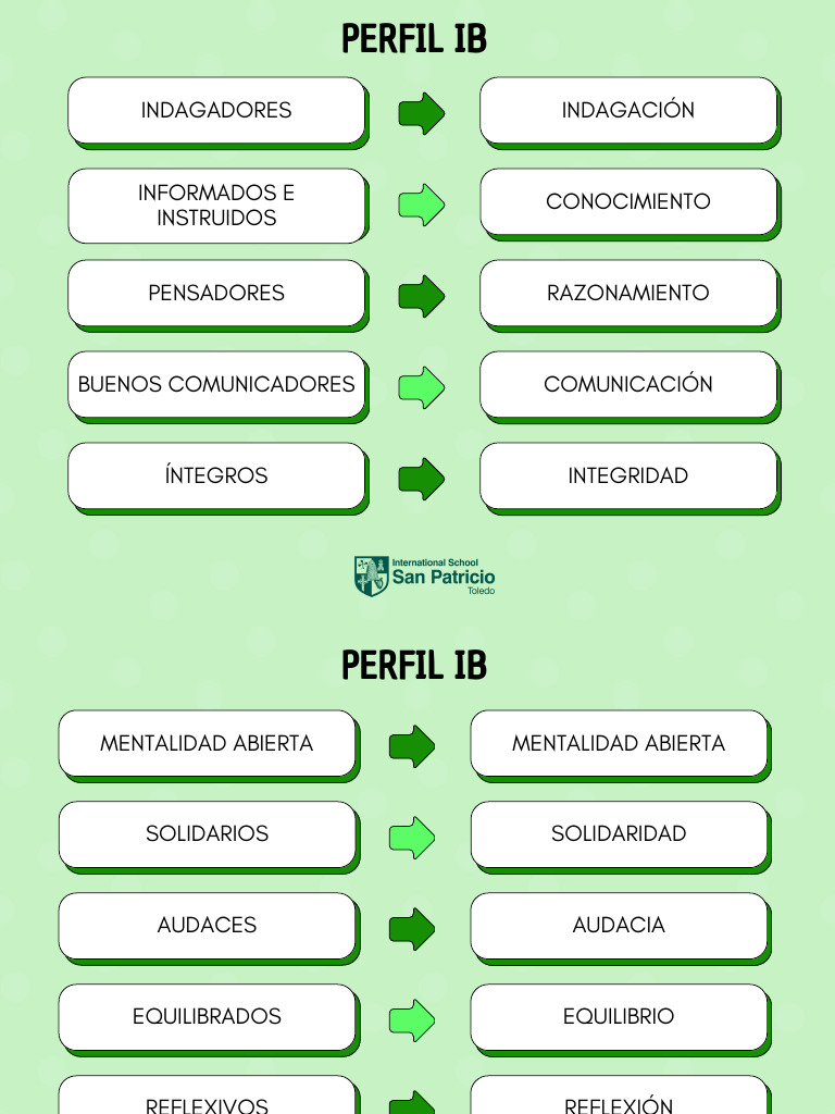 Perfil Ib Antes y Ahora | PDF