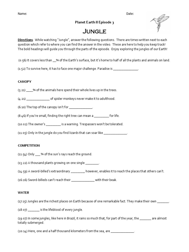3 - Planet Earth II - Jungle Video Worksheet (Season 2 Episode 3) | PDF ...