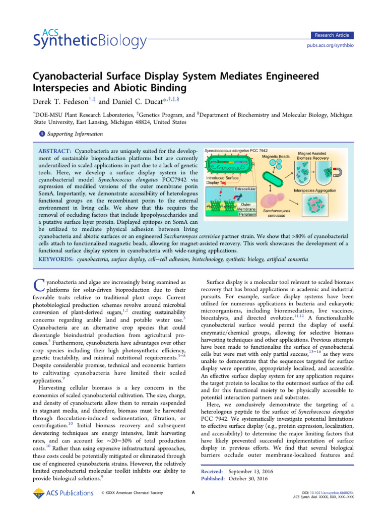 Cyanobacterial Surface Display System | PDF | Cyanobacteria ...