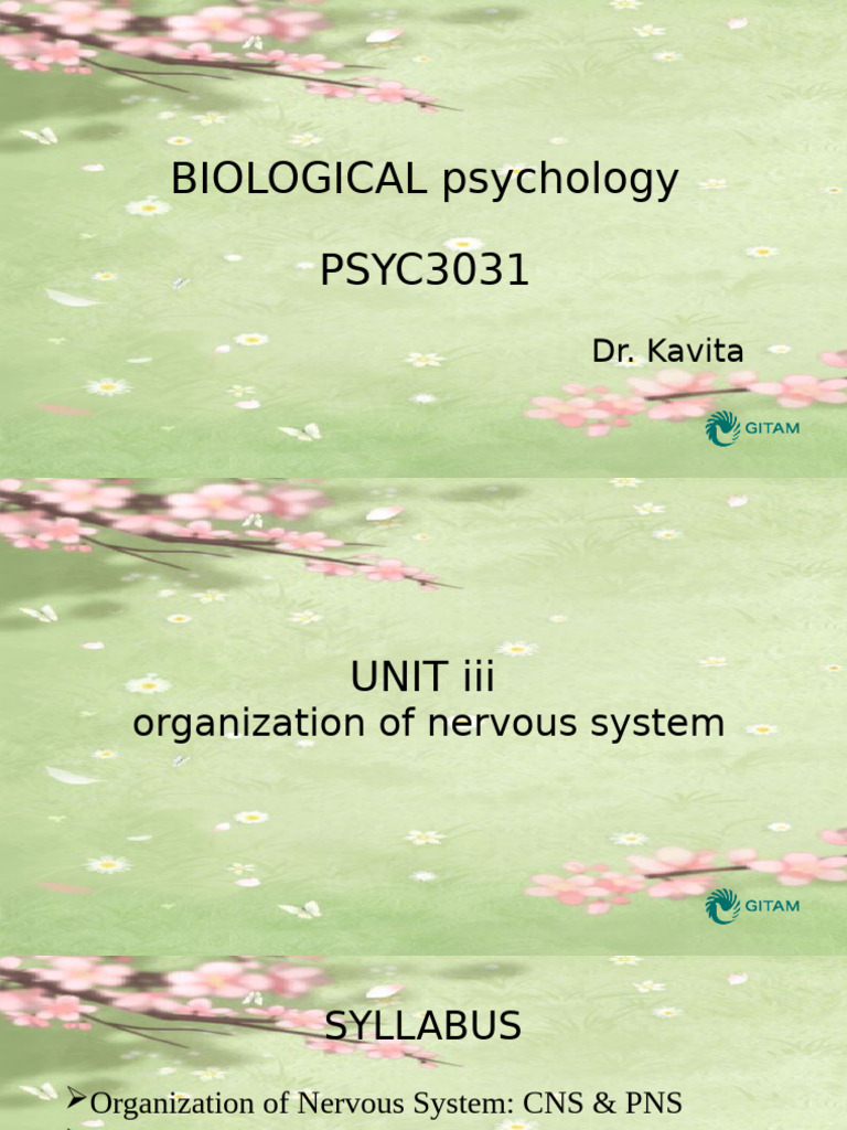 BP - Unit 3 - Organization of Nervous System | PDF | Spinal Cord | Cerebrum