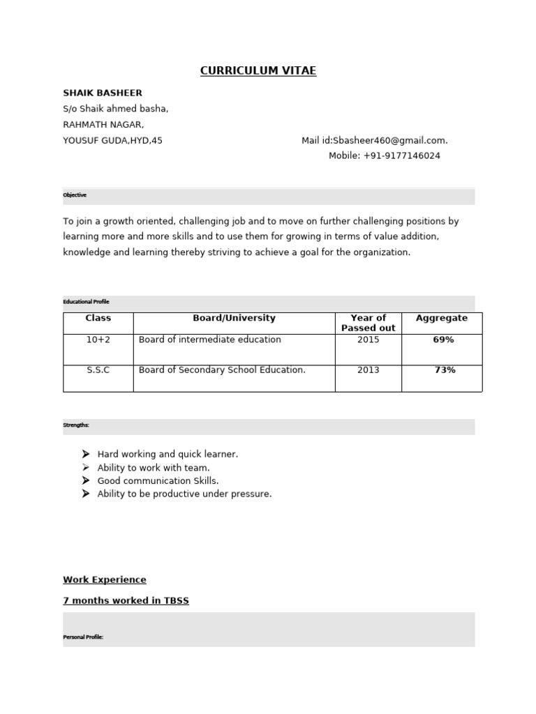 Md Tabrez Curriculum Vitae | PDF