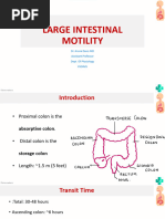 Understanding Haustrations in the Colon | PDF | Large Intestine | Organ ...