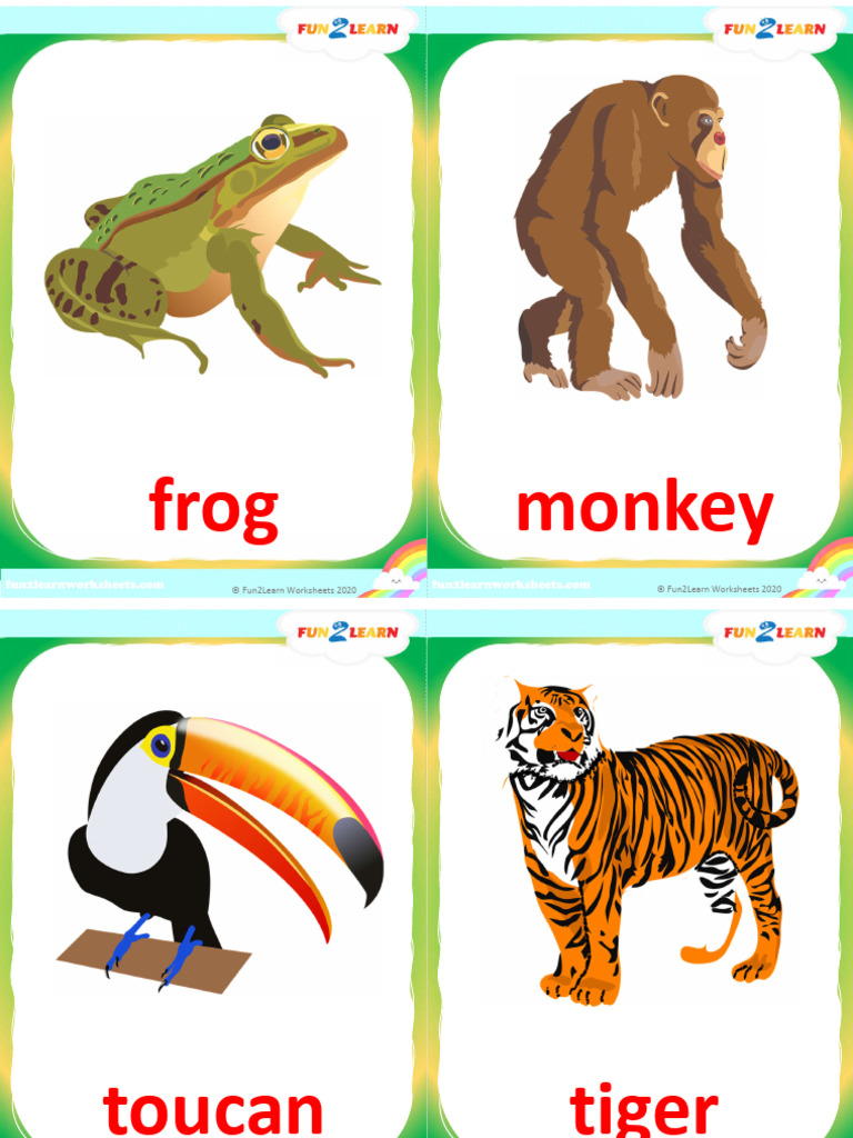 Flashcards Frog Monkey Toucan Tiger Jungle f2l | PDF