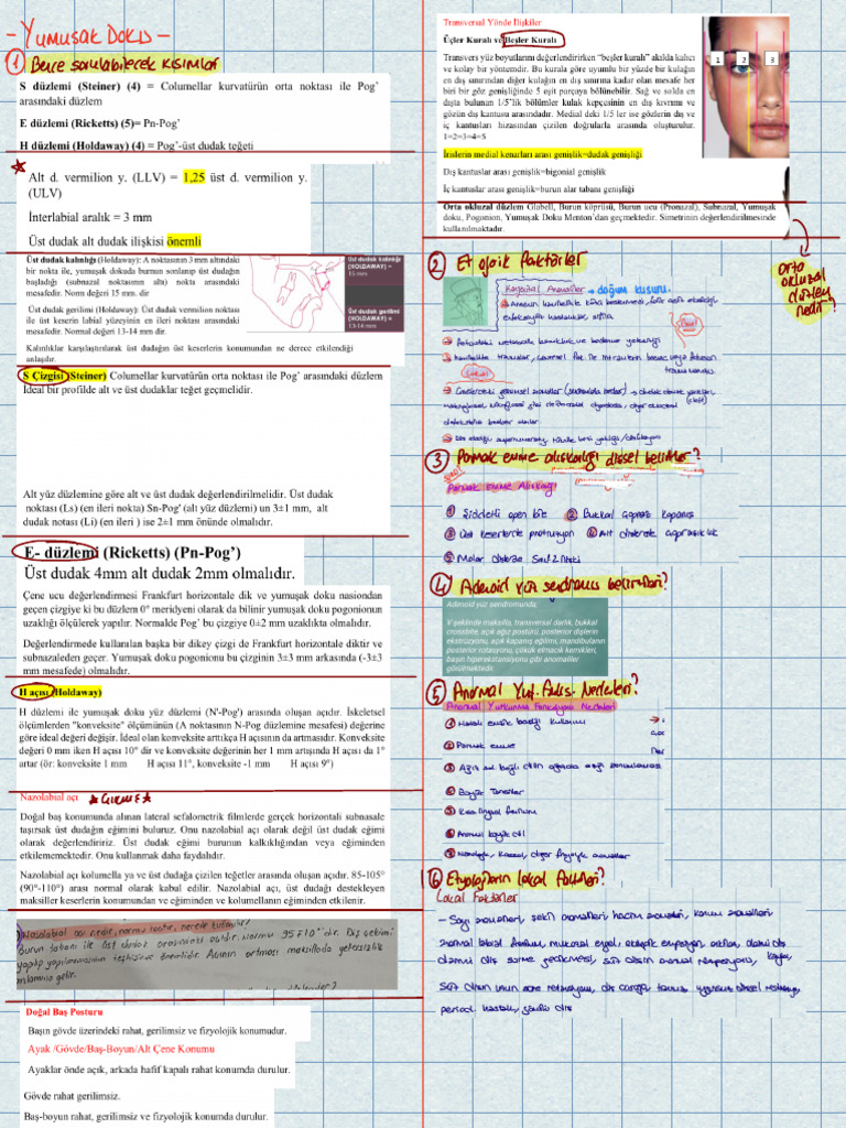 Orto 2.vize Kesin Sorular | PDF
