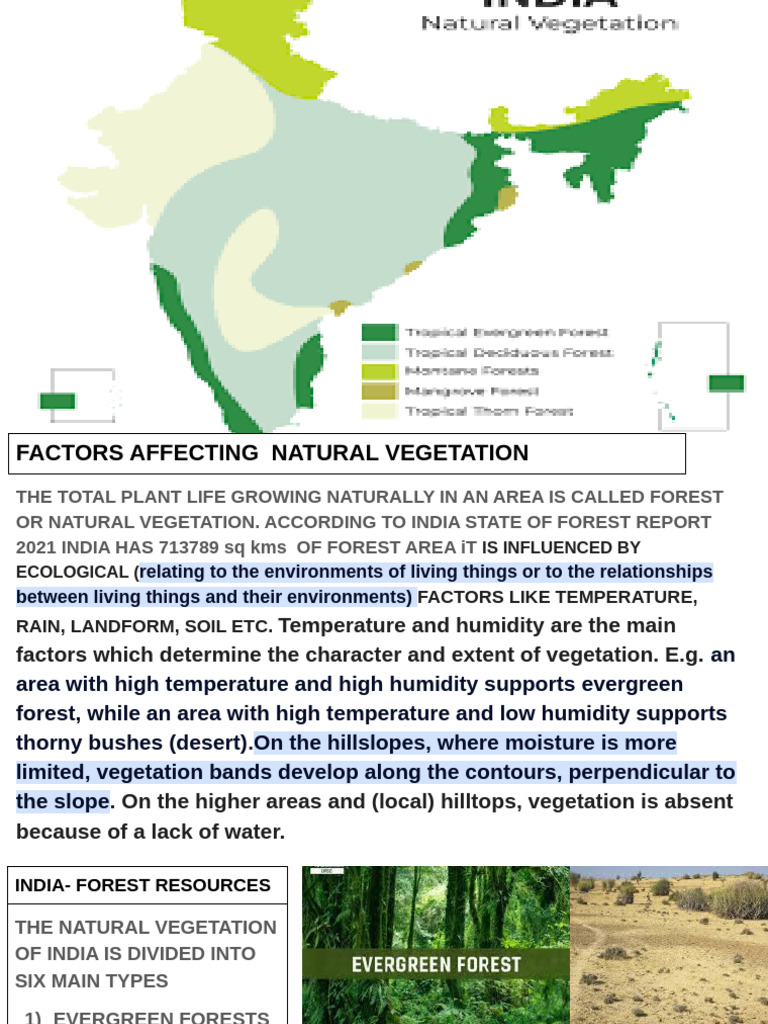 Forest Resources of India | PDF | Forests | Vegetation