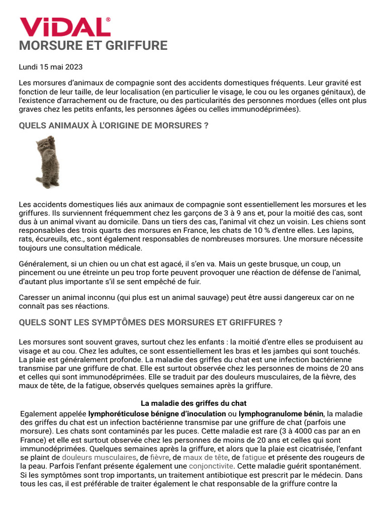 Morsures et griffures : risques et soins | PDF | Rage (maladie ...