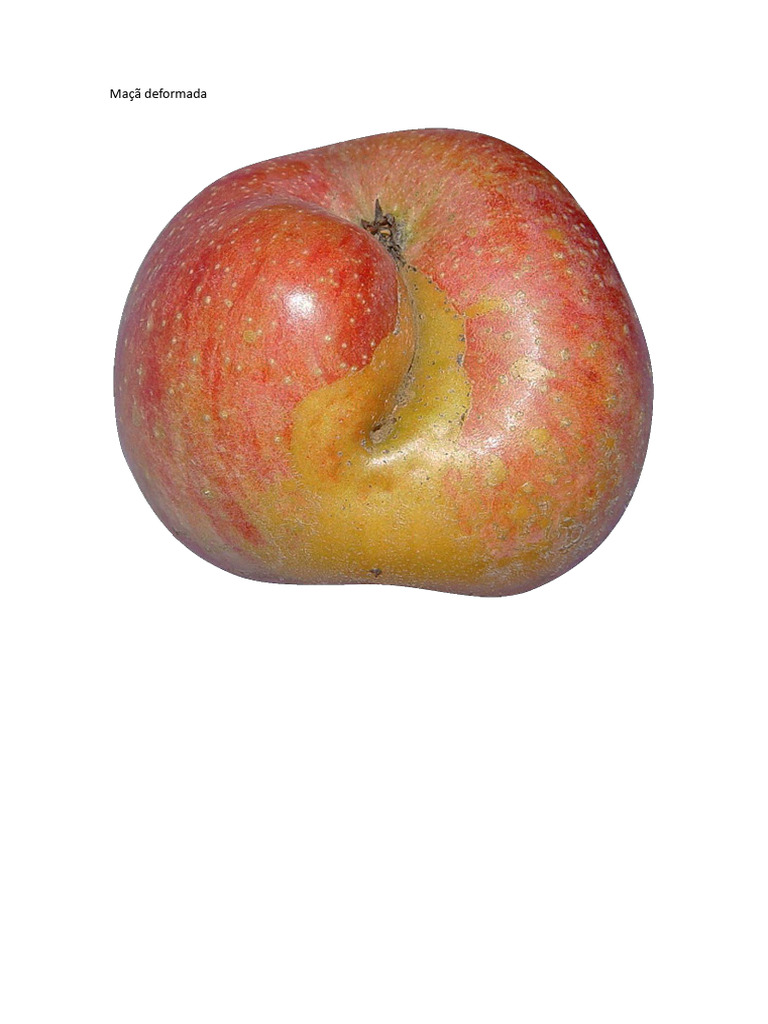 Maçã Deformada | PDF
