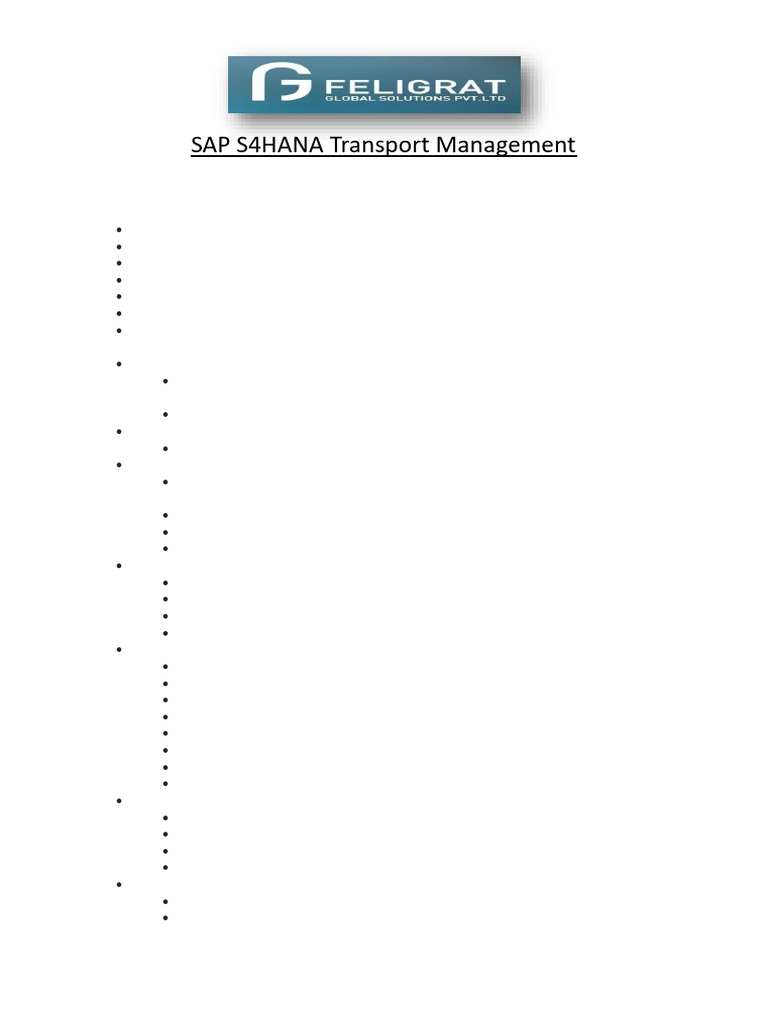 SAP S4HANA Transport Management | PDF | Cargo | Logistics