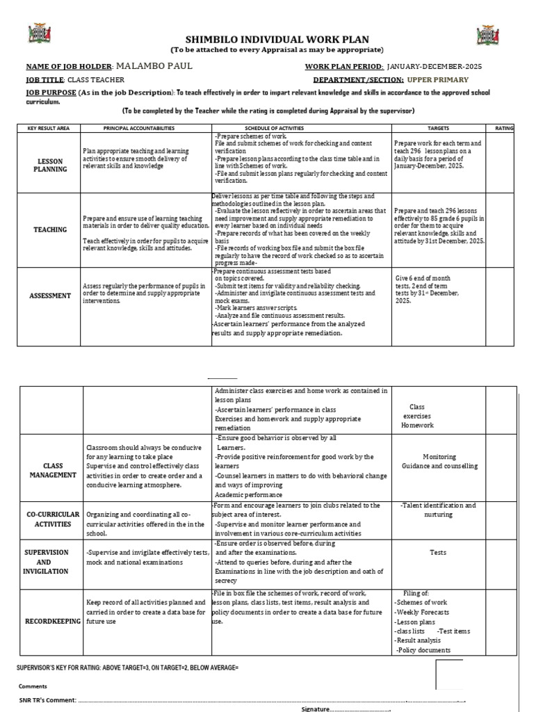 2025 Primary Individual Work Plan | PDF | Educational Assessment | Lesson Plan