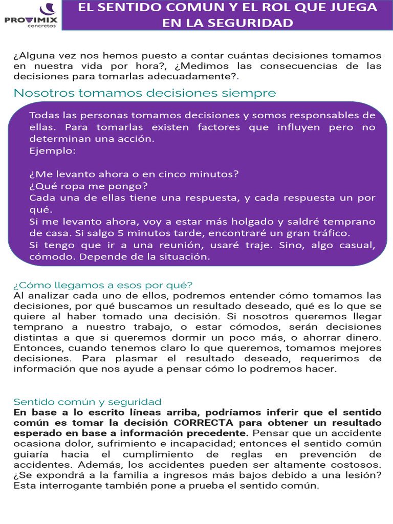 El Sentido Comun y El Rol Que Juega en La Seguridad | PDF