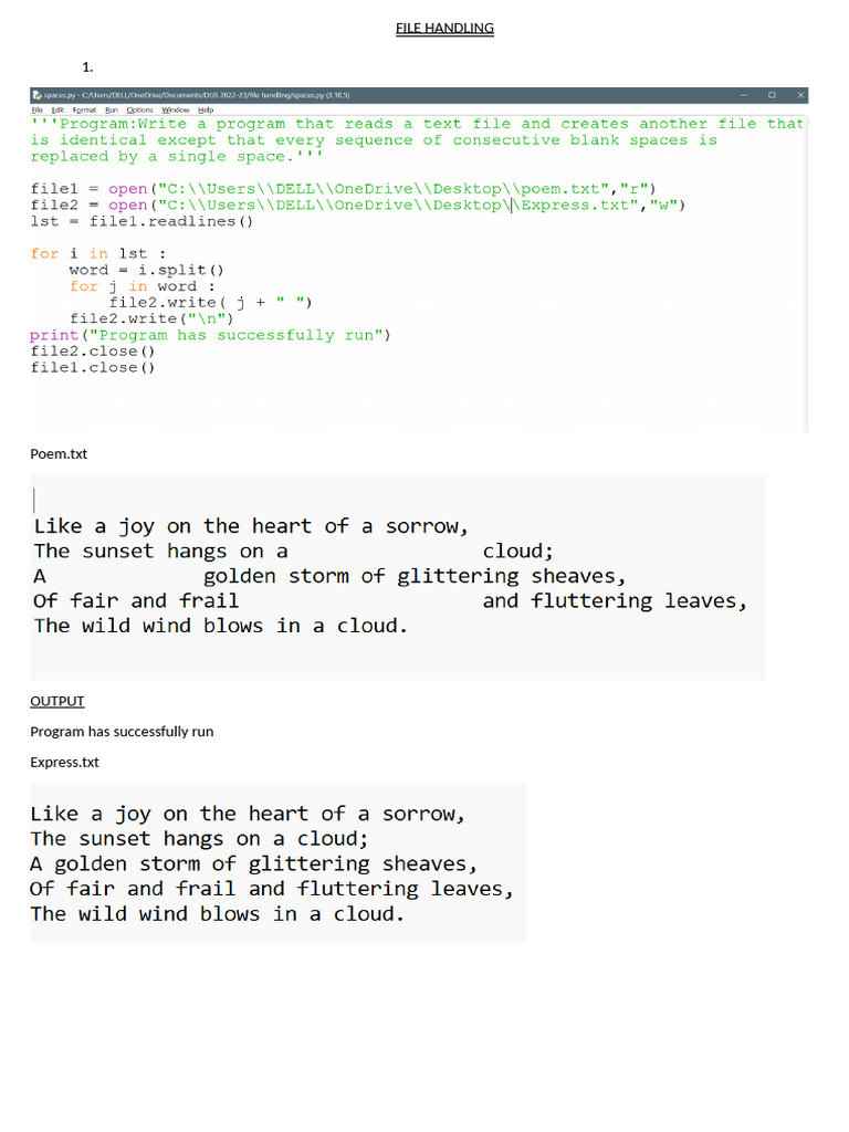 Practical File Questions 2023 24 | PDF