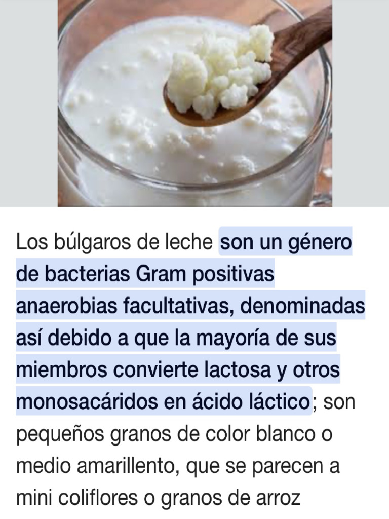 Búlgaros | PDF
