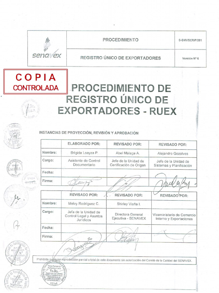 PROCEDIMIENTO-RUEX | PDF