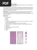 Osmosis Red Onion Cells | PDF | Osmosis | Biology