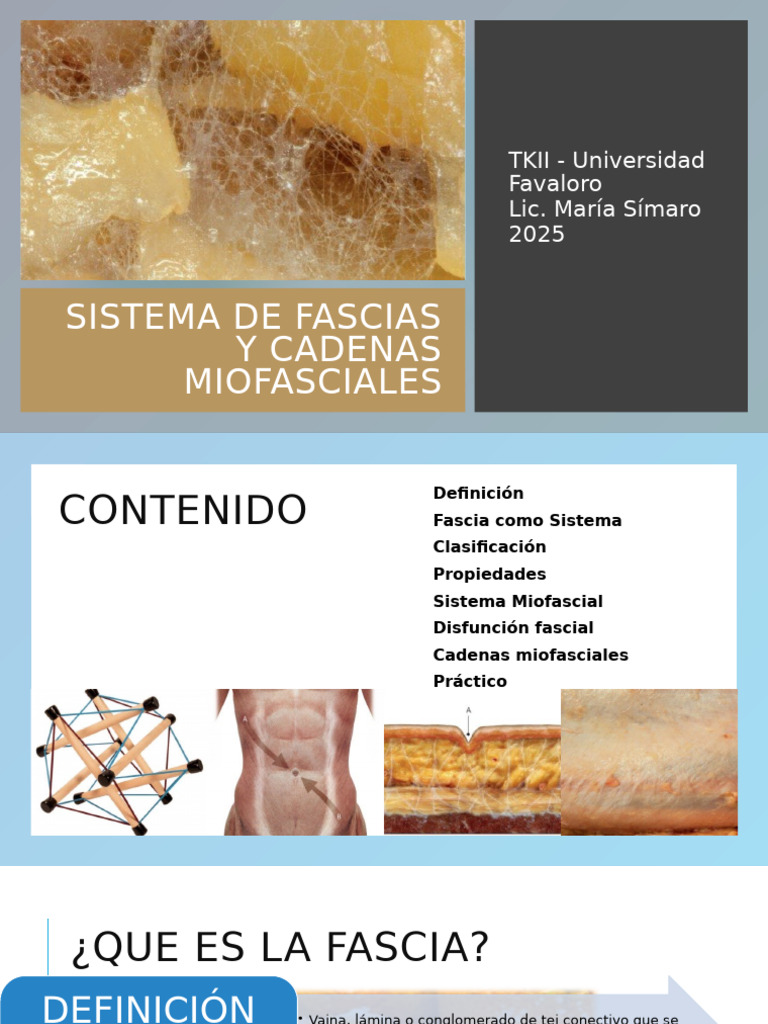 Sistema de Fascias, Superficial y Profunda | PDF | Morfología (biología ...