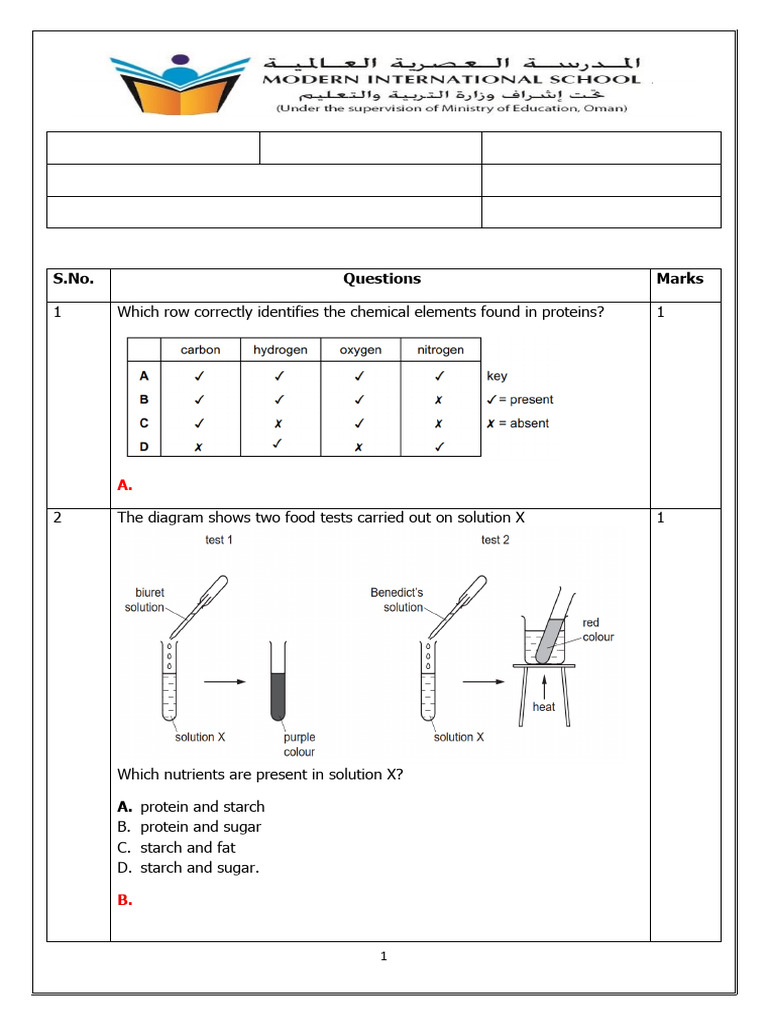 Grade: 9 (BIL) A /B /C Subject: Biology Worksheet: 4 Answer Key Topic: Biological Molecules ...