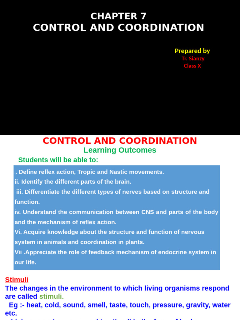 Control and Coordination New | PDF | Neuron | Central Nervous System