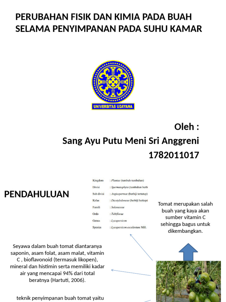 1782011017 Sang Ayu Putu Meni Sri A | PDF