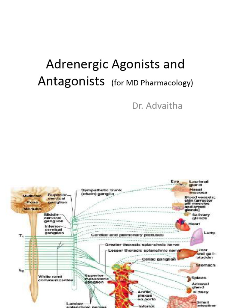 Sympathomimmetics 141026113711 Conversion Gate02 (1) To | PDF ...