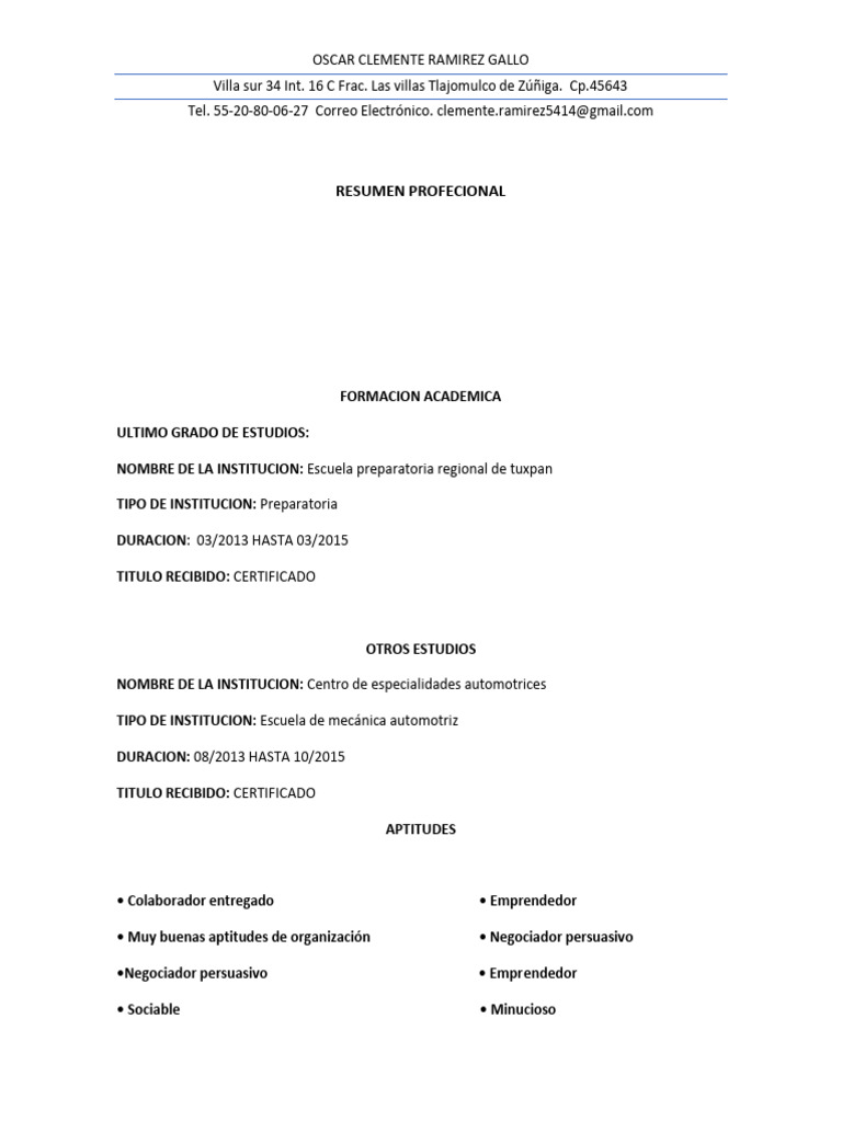 Curriculum Vitae Clemente Ramirez | PDF | Business | Economias