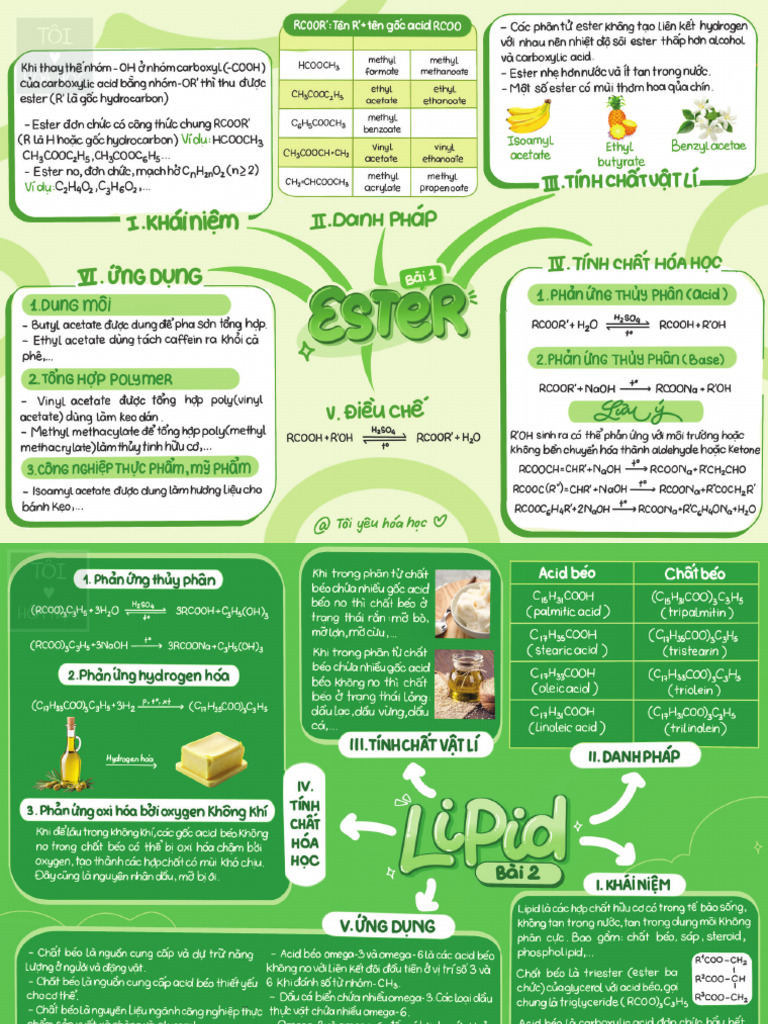 Tyhh Sơ Đ Tư Duy Chương 1 | PDF